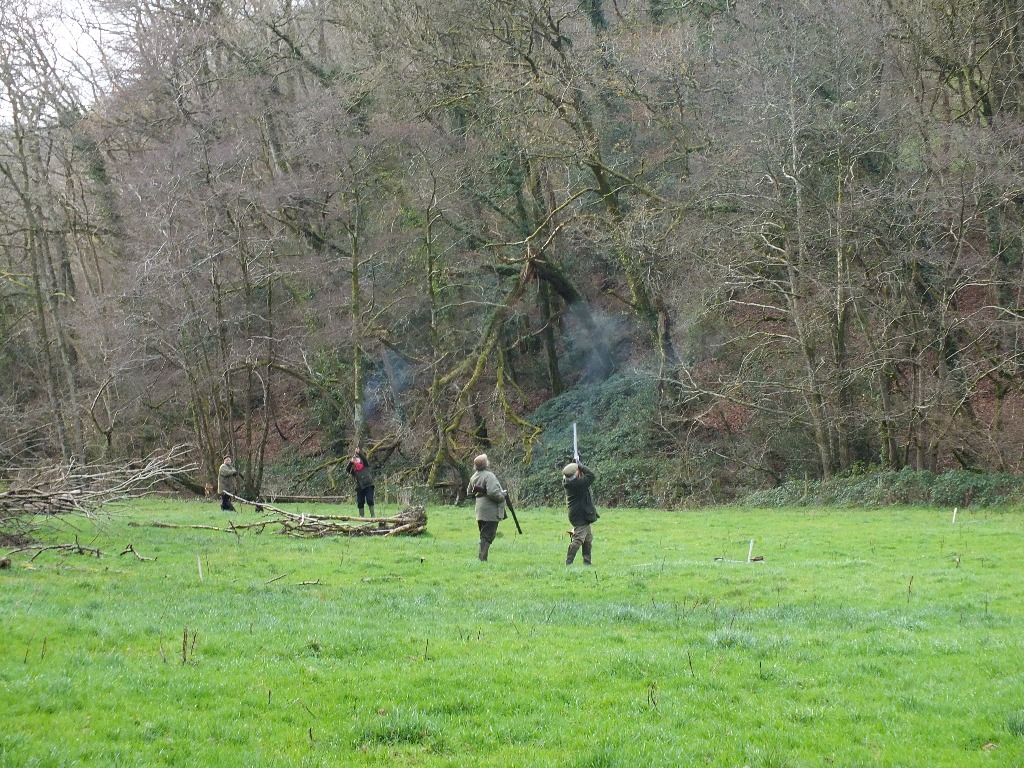 Pheasant shooting in Devon - Shoots & Availability on GunsOnPegs