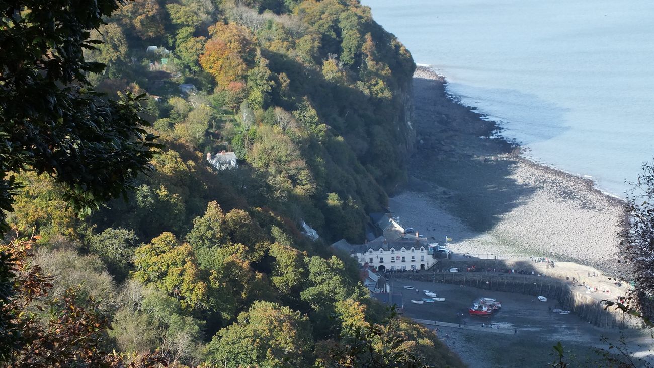 Pheasant shooting in Devon - Shoots & Availability on GunsOnPegs