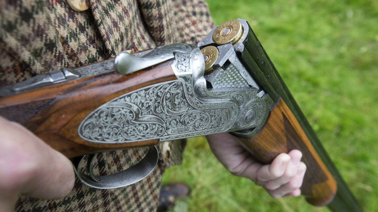 Woodcock shooting in Scotland - Shoots & Availability on GunsOnPegs