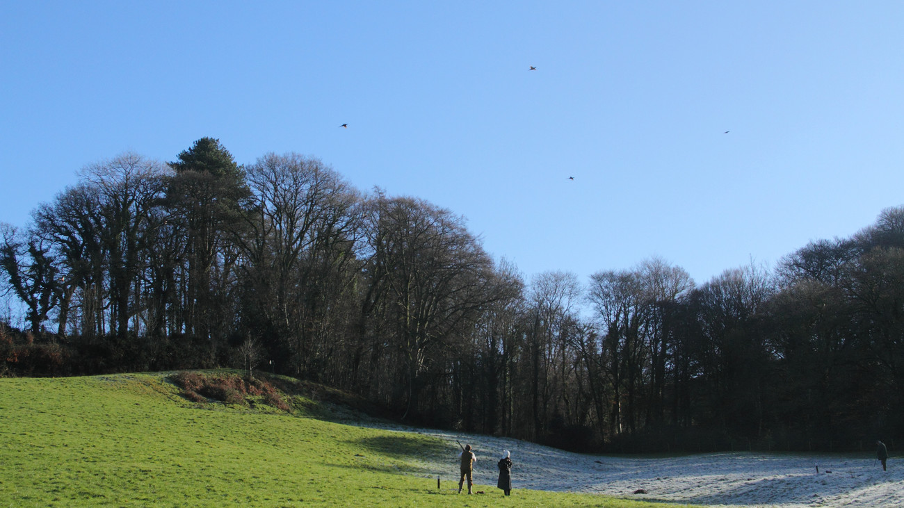 Game shooting in Devon - Shoots & Availability on GunsOnPegs