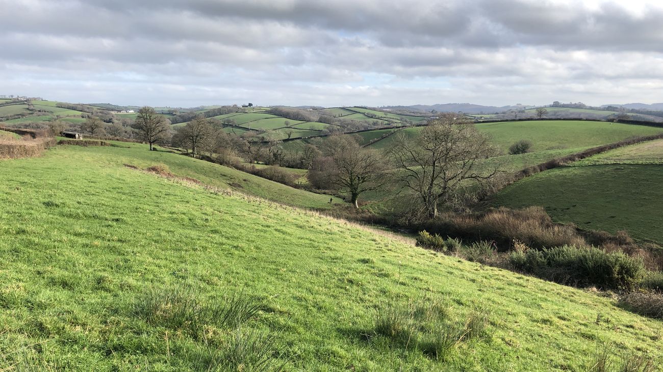 Game shooting in Devon - Shoots & Availability on GunsOnPegs