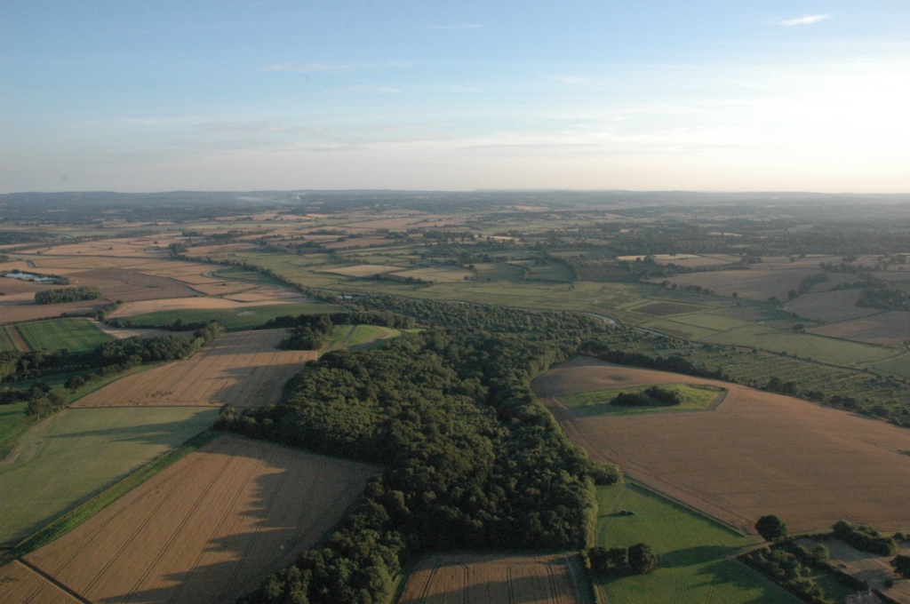 Game shooting in Kent - Shoots & Availability on GunsOnPegs