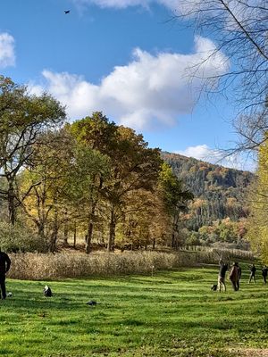 Game shooting - Shoots & Availability on GunsOnPegs